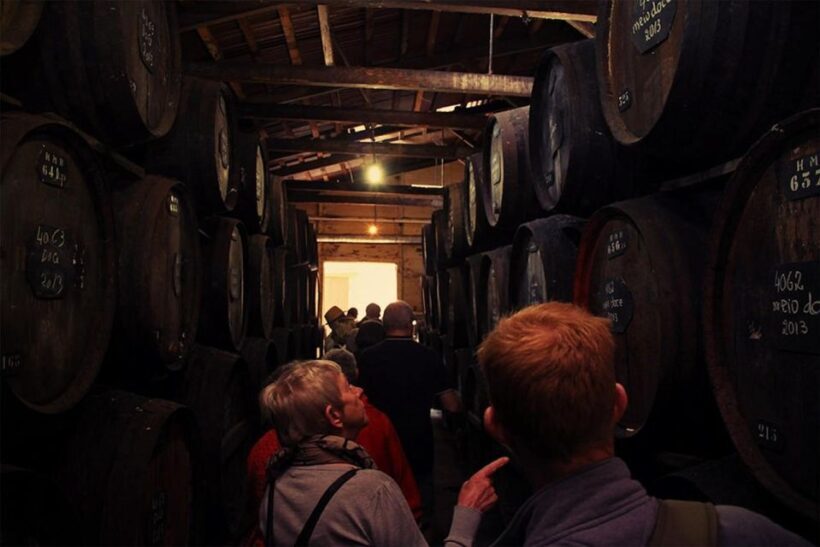 Funchal: H.M. Borges Winery Guided Tour with Wine Tasting - A Deep Dive into the Experience