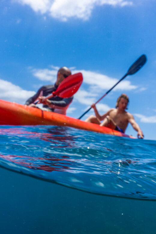 Funchal: KAYAK Rental or Guided tour with snorkeling - Who Should Consider This Experience?