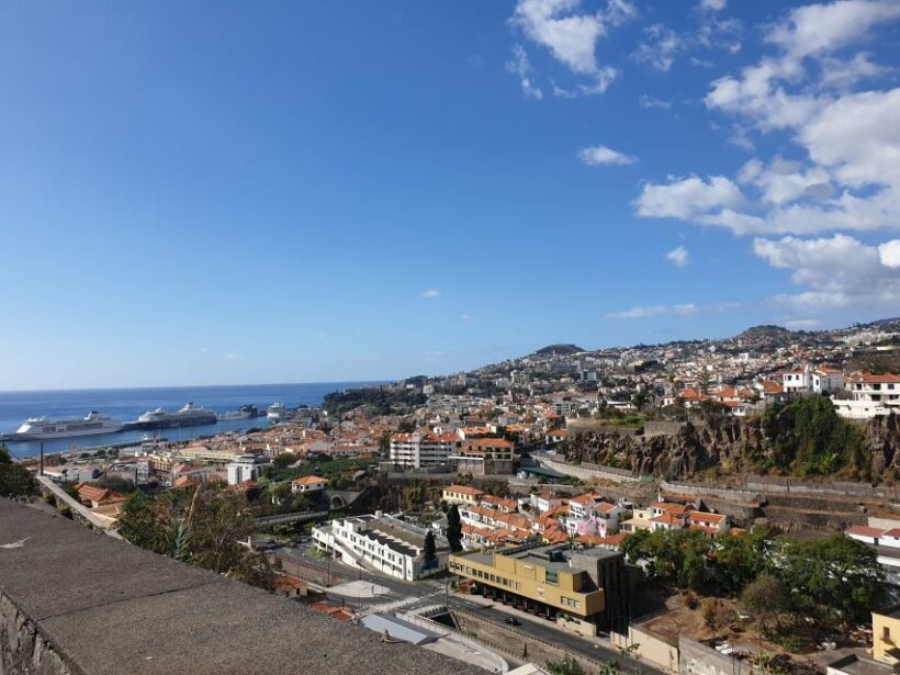 Funchal: Madeira Botanical Garden Private Tuk-Tuk Tour - An In-Depth Look at the Tour Experience