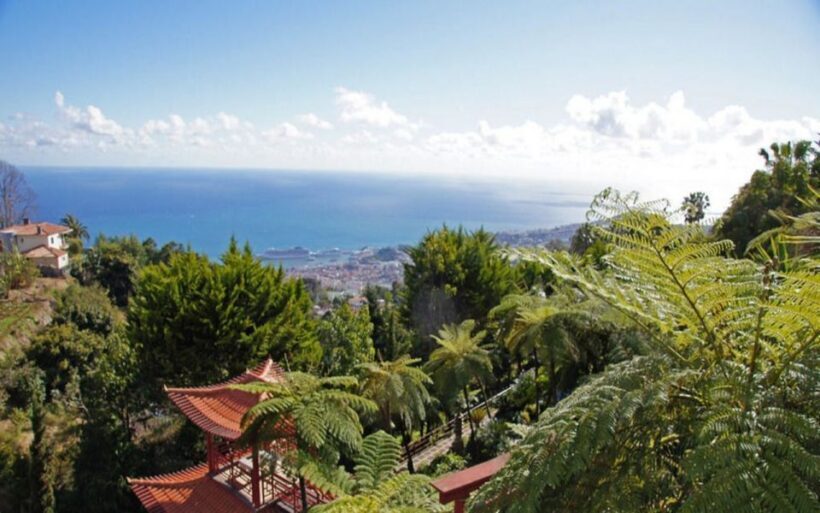Funchal: Monte Palace Tropical Gardens Tuk Tuk Tour - Introduction