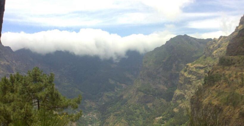 Funchal: Nuns Valley Half Day Tour - Key Points
