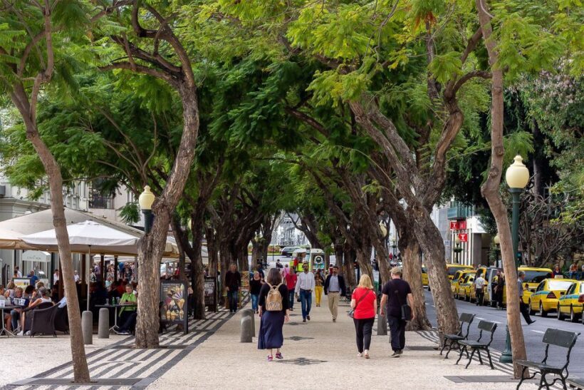 Funchal: Old Town Walking Tour - Who Should Join?