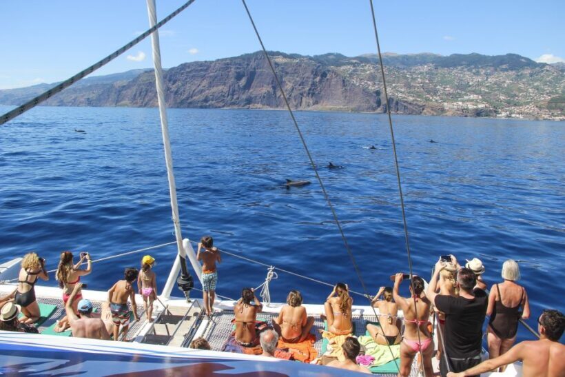 Funchal: Pico Arieiro, Cristo Rei and Dolphins Watching - Practical Details: What’s Included and What Not