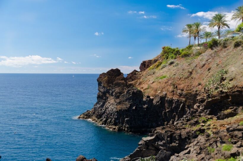 Funchal: Private Tour with a Local Guide - Exploring Funchal: A Deep Dive into the Experience