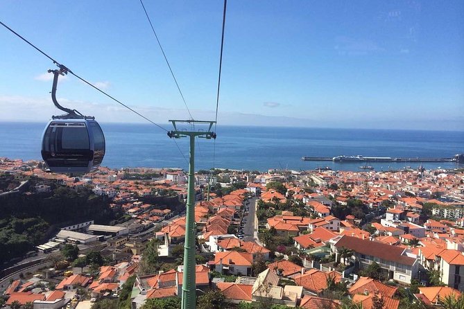 Funchal Private Vehicle Service With Driver for a Half Day or Full Day - Pickup and Meeting Instructions