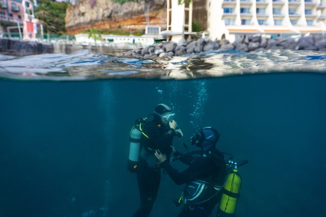 Funchal: Scuba Diving Experience for Beginners - Participant Reviews and Ratings