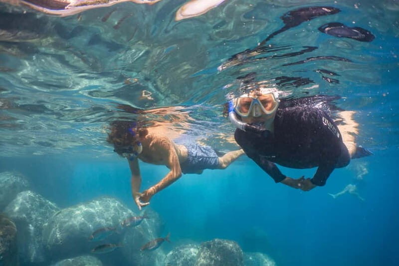 Funchal: Snorkeling Adventure in Eco-Park / Shore or by Boat - The Value and Who Should Consider It