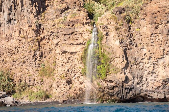 Funchal: Speedboat tour- SEE THE ISLAND AND LIFE AT SEA - FAQs