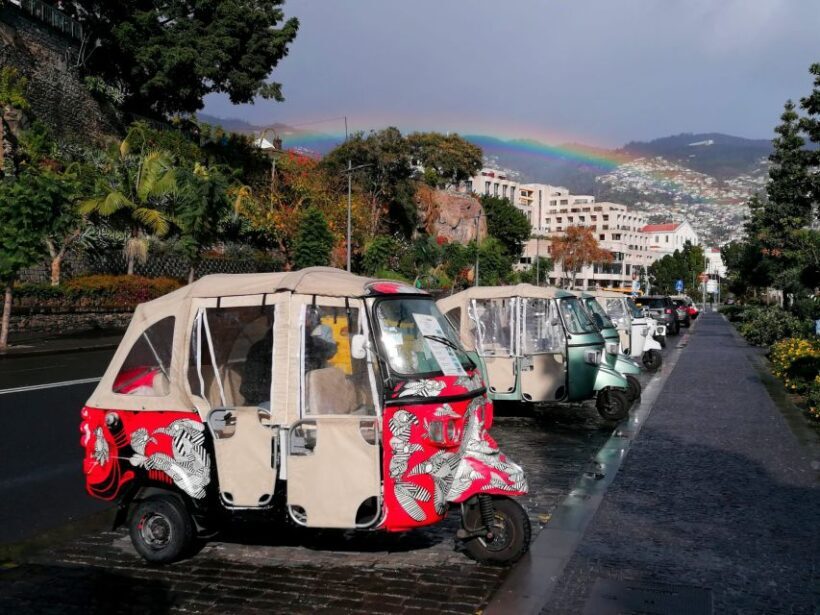 Funchal: Tuk Tuk Ride to Monte Funchal Toboggans - An In-Depth Look at the Funchal Tuk Tuk to Monte Tour