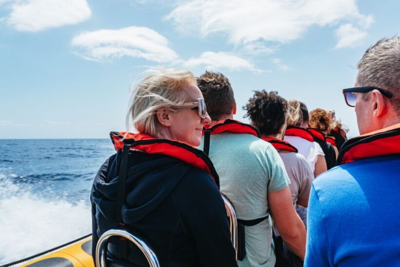 Funchal: Whale and Dolphin Watching Speed Boat Tour - Who Will Love This Tour?