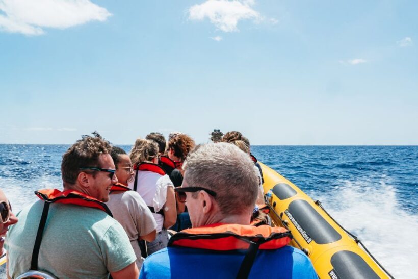 Funchal: Whale and Dolphin Watching Speed Boat Tour - Final Thoughts