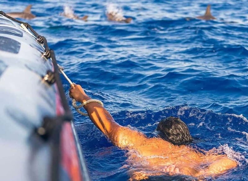 Funchal: Whale Watching and Swimming with Dolphins Cruise - What Makes This Tour Special?