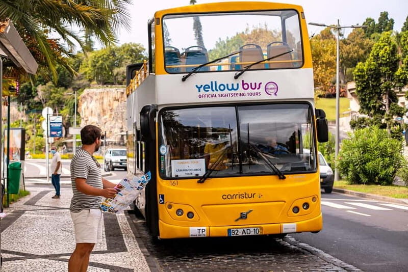 Funchal:Hop-on Hop-off Bus & Whale & Dolphin boat Excursion - The Marine Adventure: Whale & Dolphin Watching by Catamaran