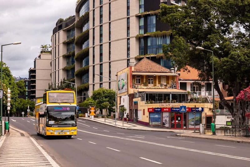 Funchal:Hop-on Hop-off Bus & Whale & Dolphin boat Excursion - Who Will Love This Tour?