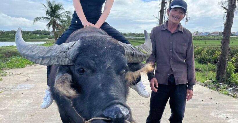 Funny day cycling, Buffalo riding and Basket boat - An In-Depth Review of the Tour