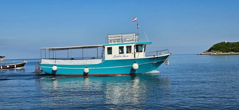 Funtana,Vrsar: Dolphin watching at sunset,drinks included - Value and Practical Considerations