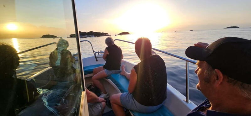 Funtana,Vrsar: Dolphin watching at sunset,drinks included - Who Will Love This Tour?