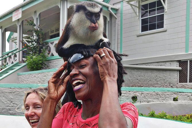 Funtastic 4 x 4 Safari & River Tubing Adventure Grenada - Who Will Love This Tour?