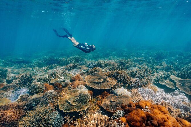 Funtastic Catamaran Cruise and Snorkel of Great Keppel Islands - The Experience From a Traveler’s Perspective