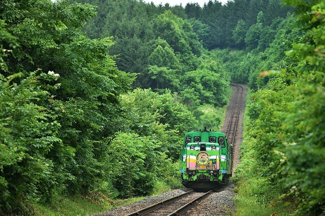 Furano & Biei 4 Hour Tour: English Speaking Driver Only, No Guide - Booking and Cancellation Policies