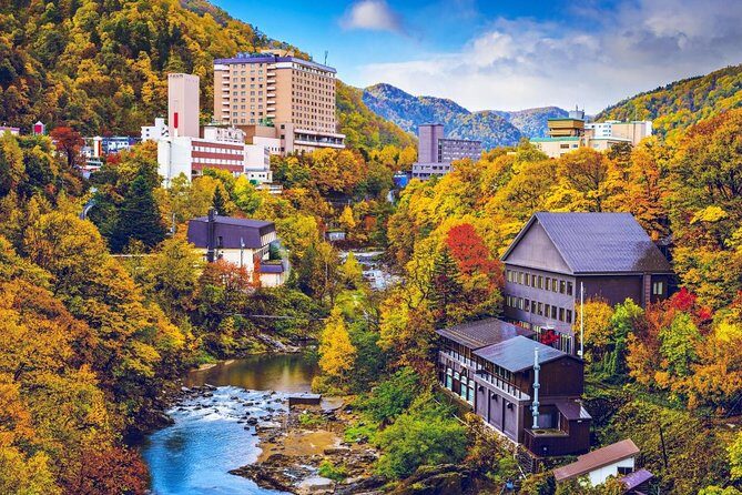 Furano & Biei Customised Private Day Tour (Up to 8 Pax / 9 Hours) - Overall Value and Who Will Love This