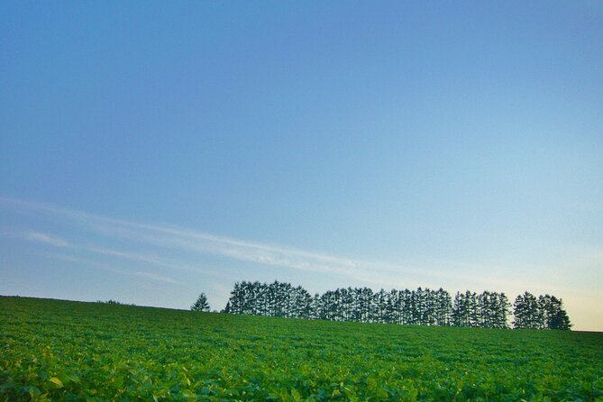 Furano Biei Tour Sapporo DEP: English Speaking Driver, No Guide - Inclusions and Exclusions