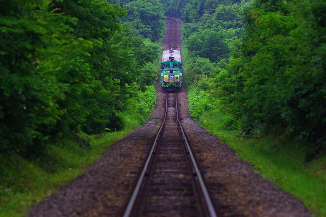 Furano Biei Tour Sapporo DEP: English Speaking Driver, No Guide - Cancellation Policy and Reservation Flexibility