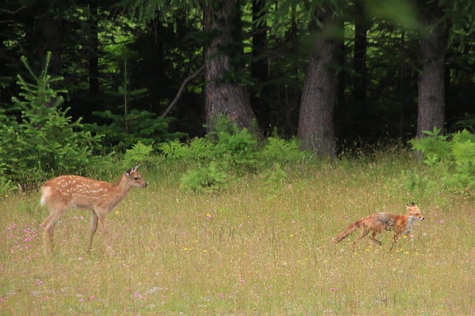 Furepe Waterfall Nature Walk - Meeting and Pickup Details