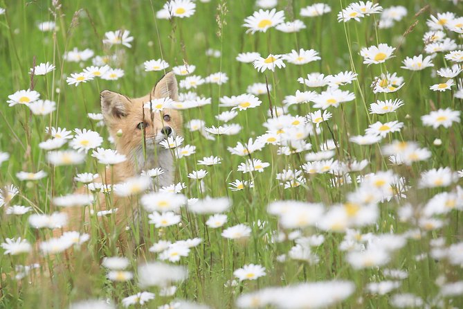 Furepe Waterfall Nature Walk - Tour Participation and Restrictions