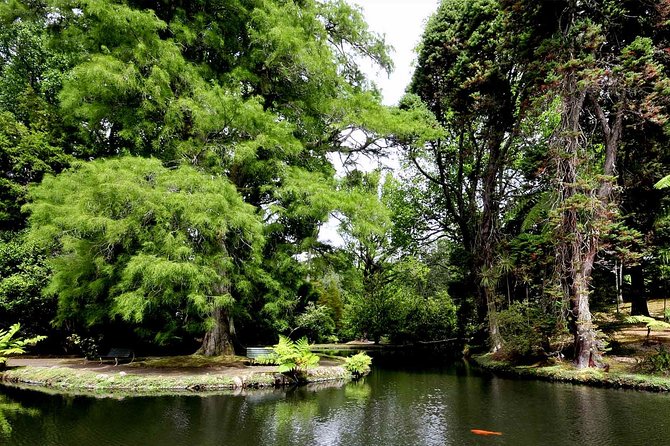 Furnas and Terra Nostra Botanic Park Guided Tour W/ Hotsprings - Dietary Accommodations and Language Support