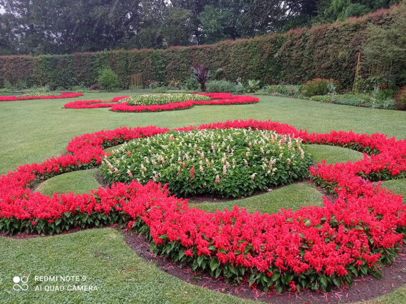 Furnas Full Day (lunch included in the minime 2 people) - Exploring the Furnas Full Day Tour: A Practical Guide to Authentic Azores Experiences
