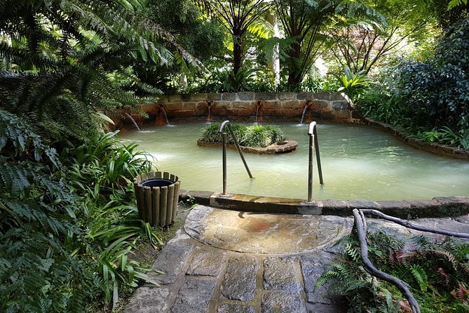 Furnas Full Day Tour | Full Day Furnas Tour (Min. 2 Persons) - The Sum Up