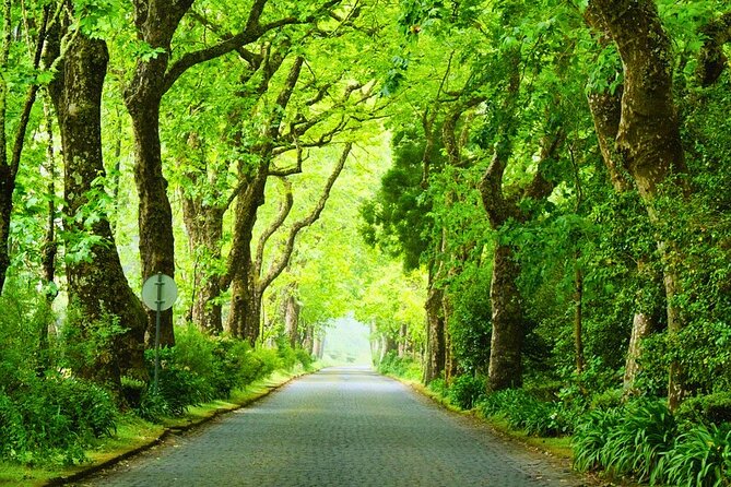 Furnas: Mystic Tour (w/Dinner & Thermal Baths Incl.) - Key Points