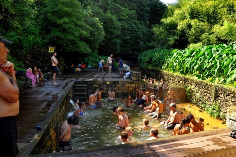 Furnas: Tea Plantations, Lake and Volcano Guided Tour - Visiting Gorreana Tea Plantation: Europe’s Oldest Tea Garden
