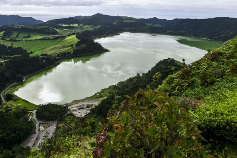Furnas: Tea Plantations, Lake and Volcano Guided Tour - Lunch and Local Flavors