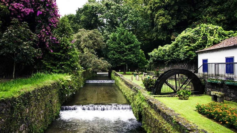 Furnas & Terra Nostra Botanic Park Tour w/Lunch + Hotsprings - Practical Aspects and Value