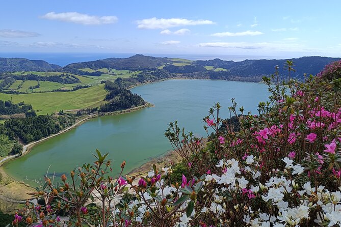 Furnas Vale, Gorreana Tea Factory Private Van Tour - Introduction