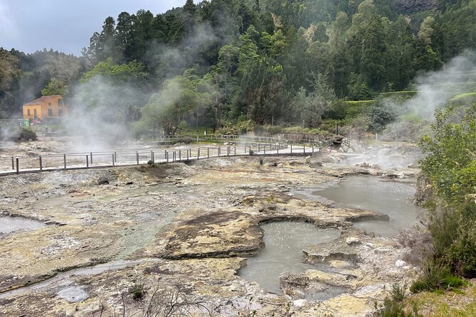 Furnas Vale, Gorreana Tea Factory Private Van Tour - What the Tour Means for You