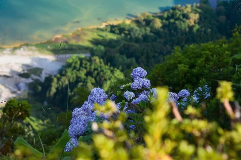 Furnas Volcano: Full Day Tour, Hot Springs & Waterfalls - Key Points