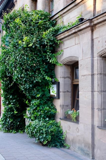 Fürth: Culinary and Historical Walking Tour - The Sum Up