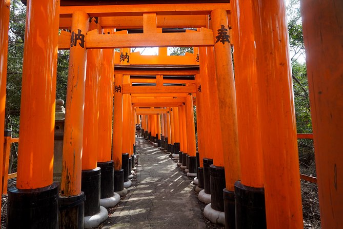 Fushimi Inari Hidden Hiking Tour - Itinerary and Experience