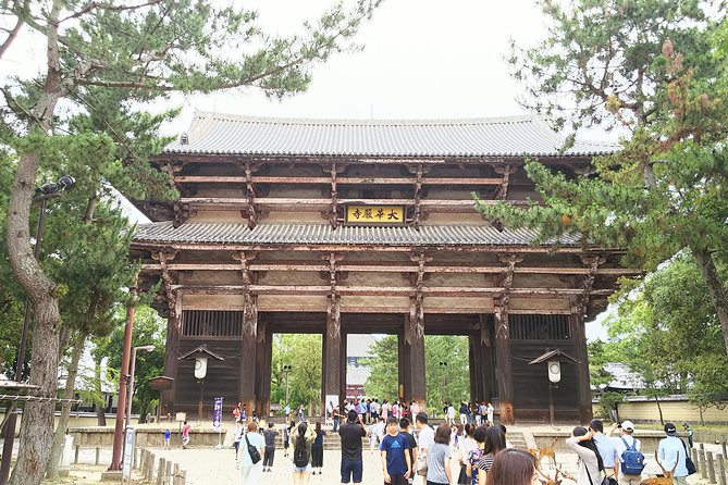 Fushimi Inari & Nara Highlights Walking Tour - Reviews and Feedback
