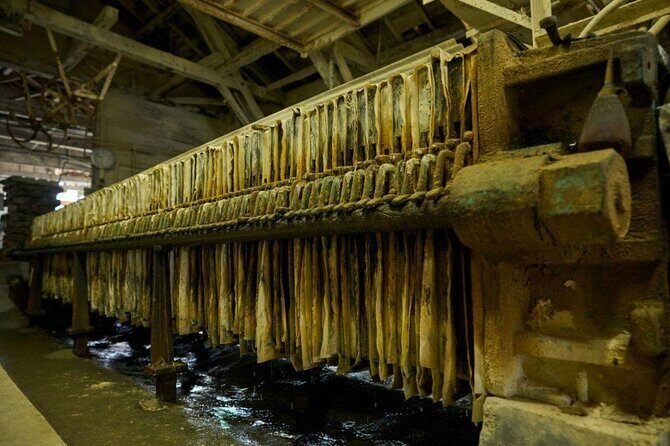 Futamata Clay Factory Tour - Who Will Love This Tour?