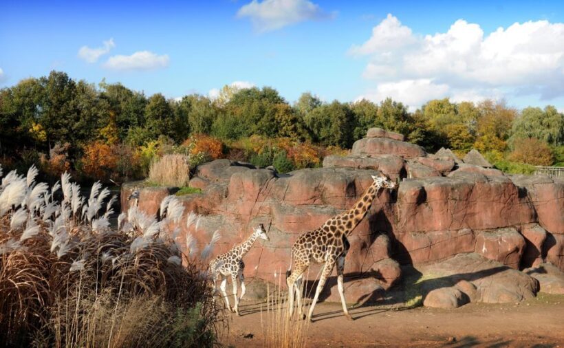 GaiaZOO Entry Ticket - Who Will Love GaiaZOO?