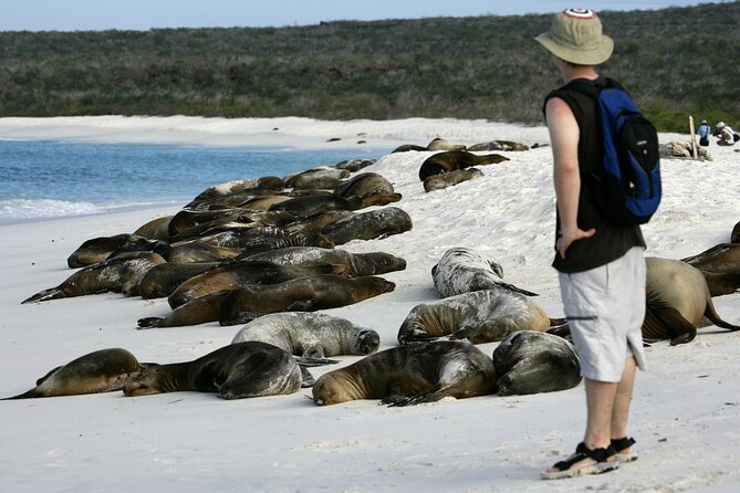 Galapagos Intensive 5 Days, Land Base (3islands) Excludes Galapagos Flight - Travel Logistics and Safety