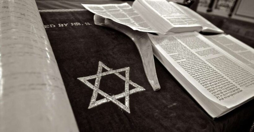 Galicja Jewish Museum - Insights from Visitors