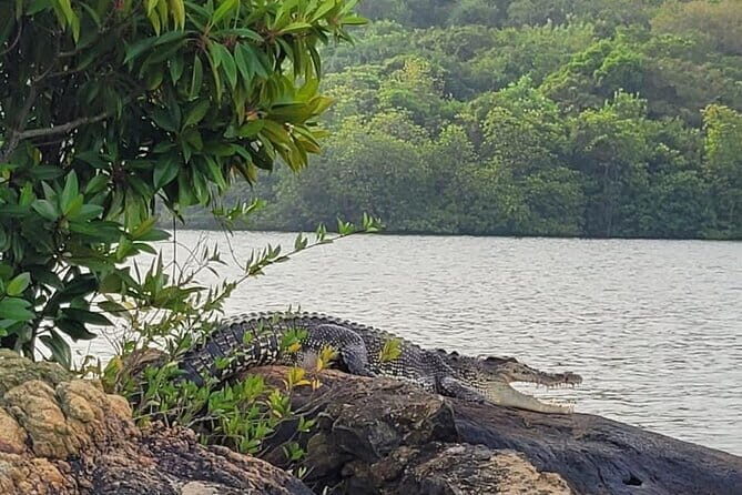 Galle ALL INCLUDED Tour from Hambantota Port (Shore excursions) - Why Travelers Love This Tour