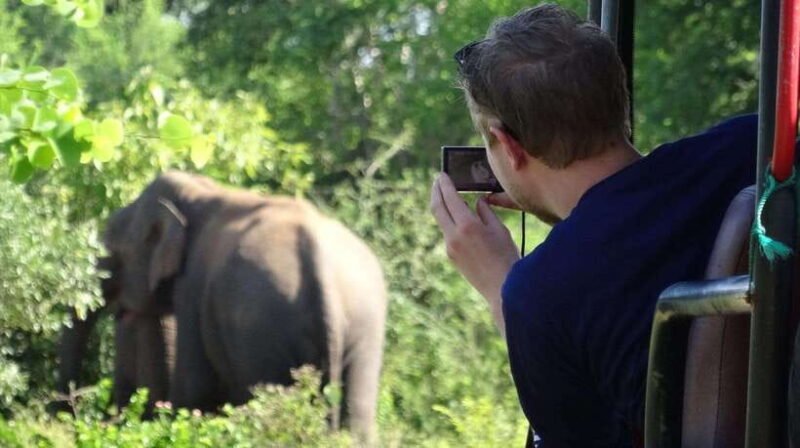 Galle: All Inclusive Morning Leopard Safari in Yala -Private - Why This Tour Offers Great Value