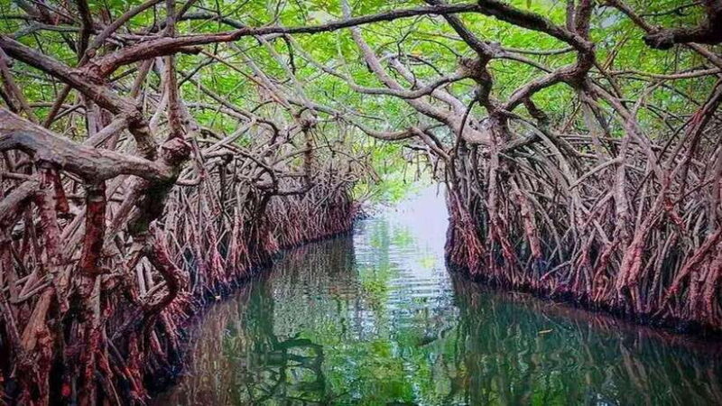 Galle and Bentota Day-Tour from Colombo or Negombo - Practical Considerations