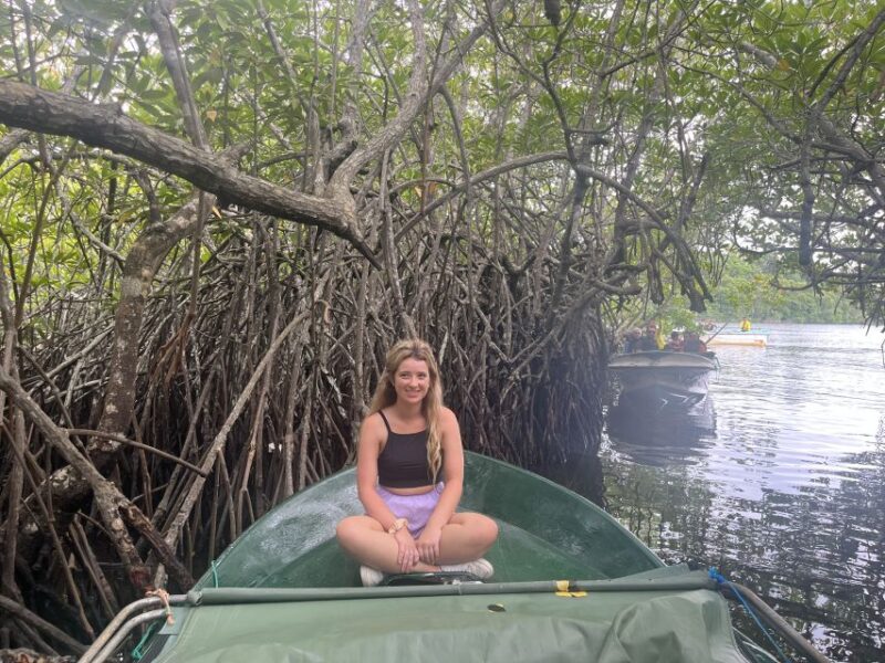 Galle and Bentota Day-Tour From Colombo - Overall Value and Practical Insights